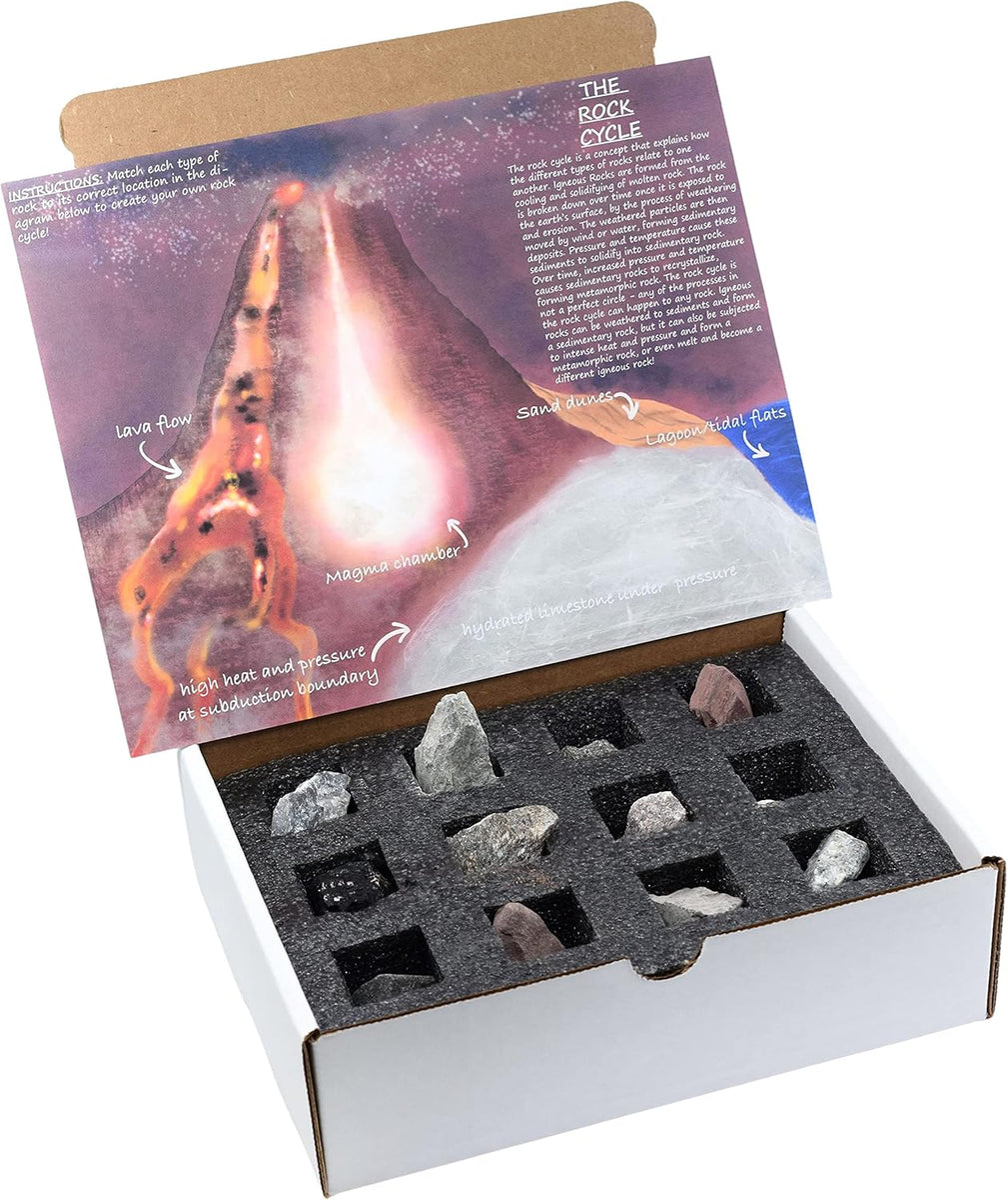 EISCO Rock Cycle Kit, 12 Pieces - includes Metamorphic, Igneous ...