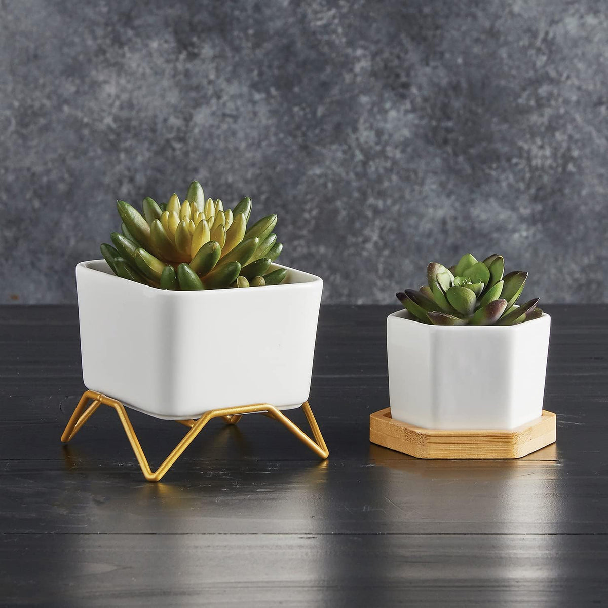 47th & Main Sleek & Modern Square Ceramic Planter with Gold Metal Footed Stand for Succulents ...