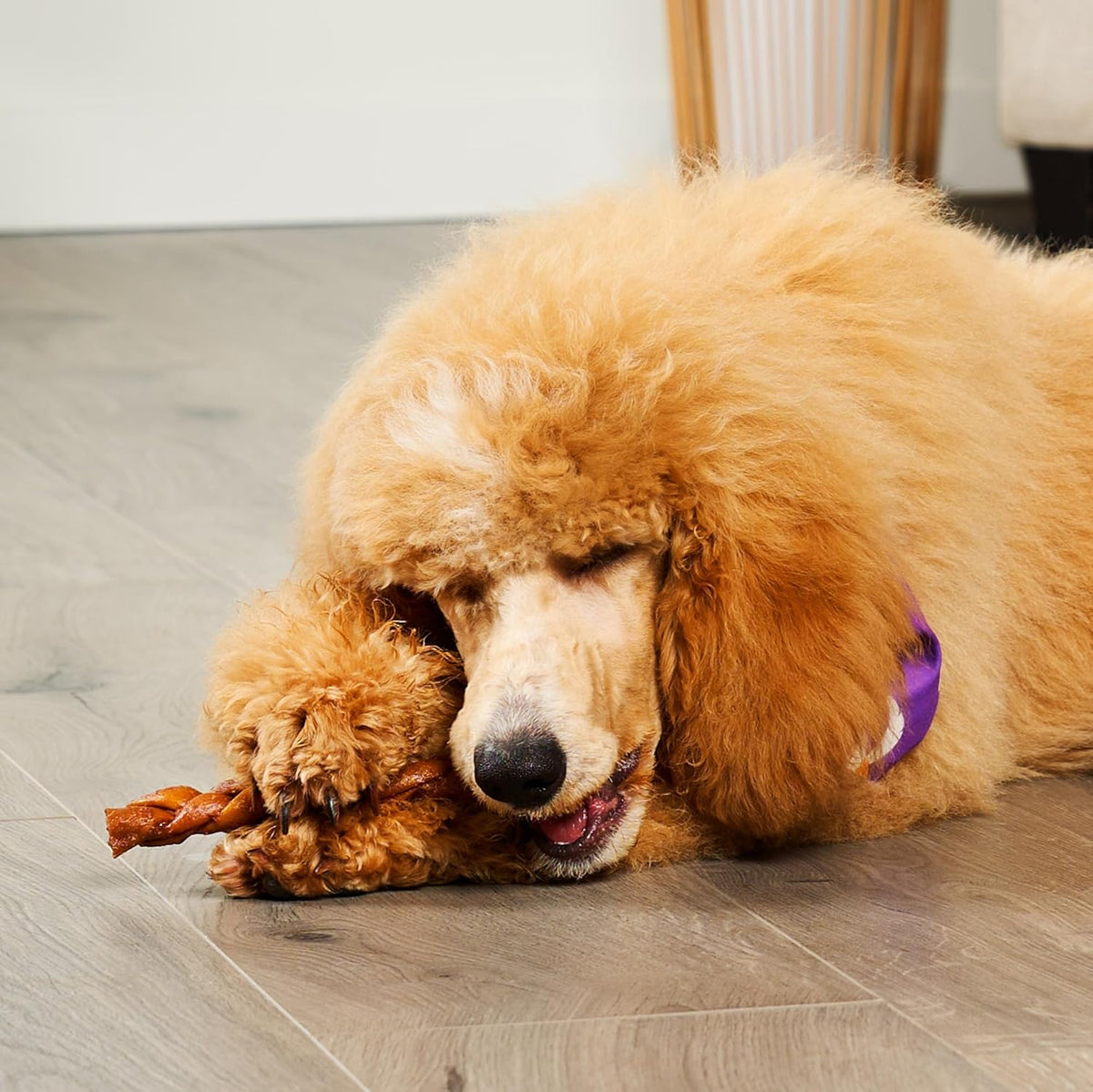 USA Collagen Braids 6-7" Dog Chew Treats - Chicken Meat Flavor, 6 Count ...