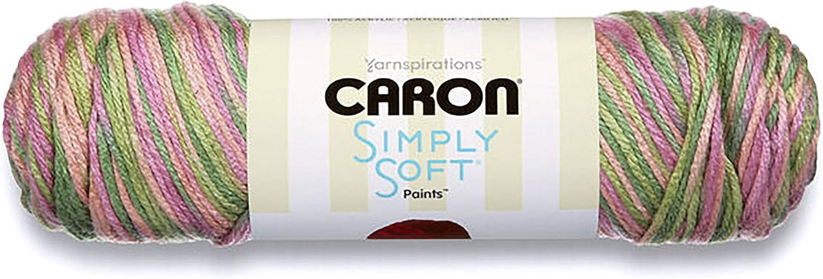 Caron Simply Soft Paints Yarn Rose Garden – ZeeBooth