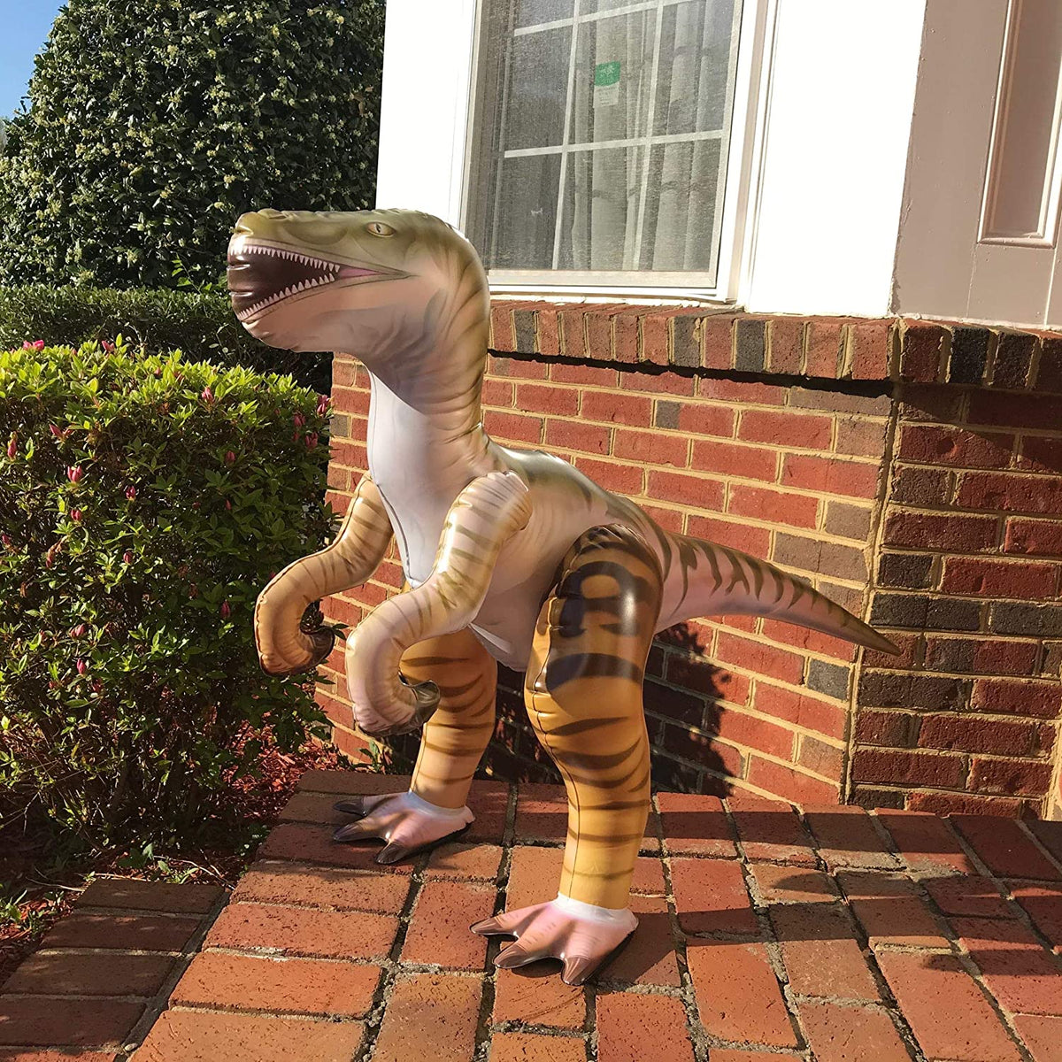 Jet Creations Inflatable Dinosaur – ZeeBooth